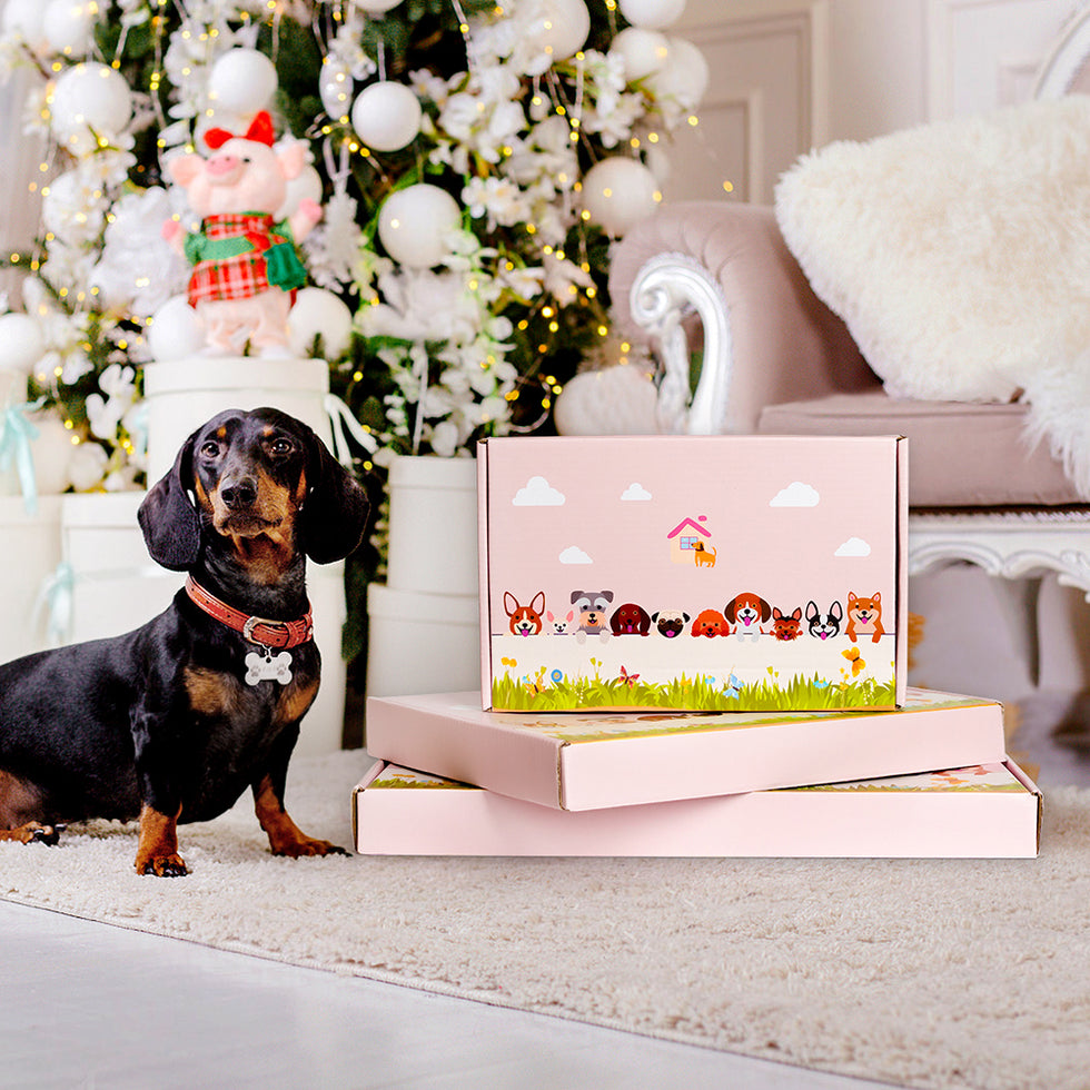 Pot de fleurs en forme de Border Collie – Petinhome.fr